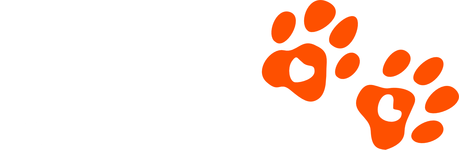 Home - Active Paws